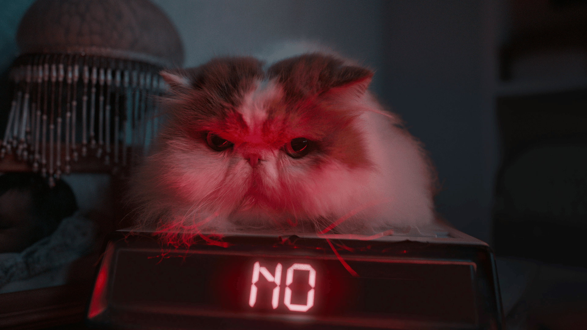 Now You Know | 750mph